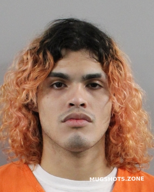 RUIZ GABRIEL 06/04/2025 - Polk County Mugshots Zone