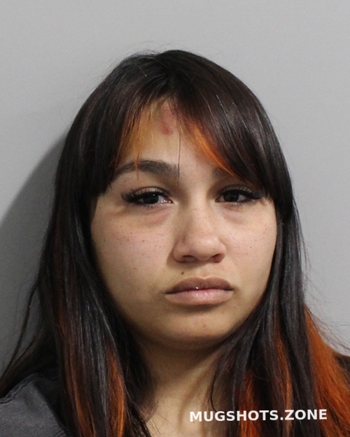 DUARTE VARELA LYANN PAOLA 06/15/2025 - Polk County Mugshots Zone