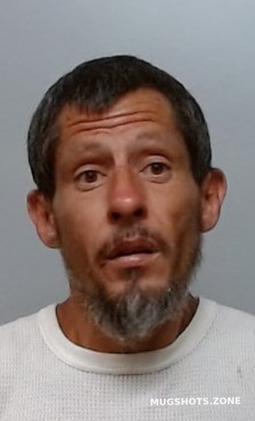 ERIKSON GREGORY ALLEN 06/22/2025 - Polk County Mugshots Zone