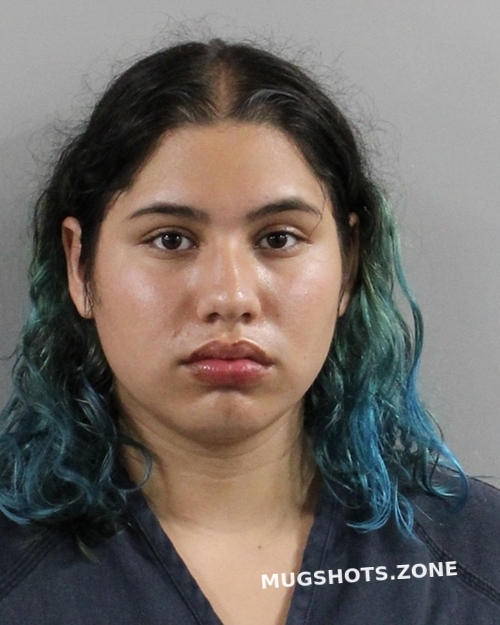 PENA ISABEL 06/24/2025 - Polk County Mugshots Zone