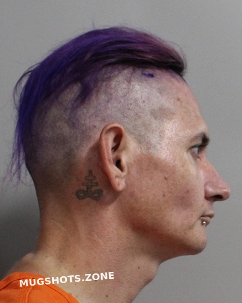 SHEFFIELD TIMOTHY CRAIG 07/05/2025 - Polk County Mugshots Zone