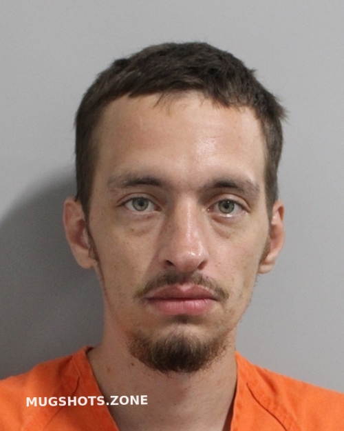 YOUNG MICHAEL RYAN 07/07/2025 - Polk County Mugshots Zone