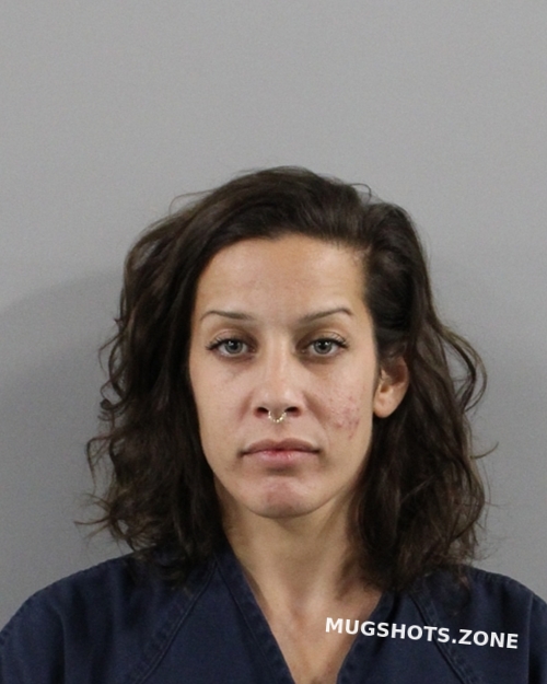 Stein Ariel 07 08 2025 Polk County Mugshots Zone