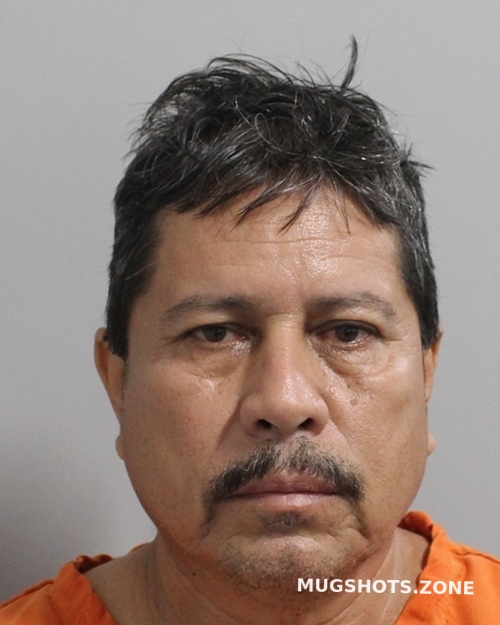 RIOS FLORES DARINEL 07/24/2025 - Polk County Mugshots Zone