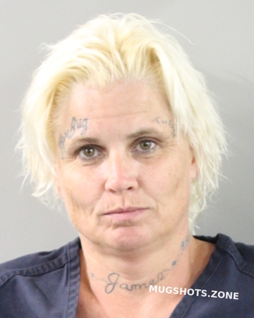 BAILEY LOIS ANN 08/05/2025 - Polk County Mugshots Zone