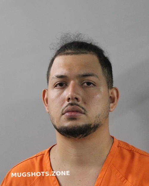 VILLAMIZAR VILLAMIZAR CESAR AUGUSTO 08/06/2025 - Polk County Mugshots Zone