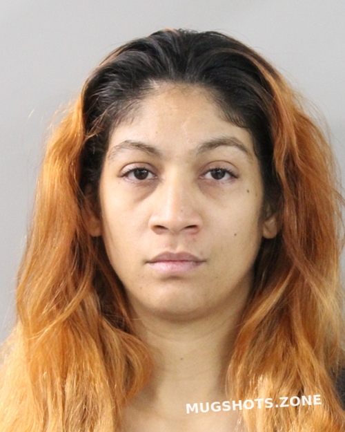 HOLGUIN MONTANEZ ROSE MARY 08/07/2025 - Polk County Mugshots Zone