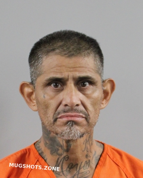 RIVAS MARIO ALBERTO 09/22/2025 - Polk County Mugshots Zone