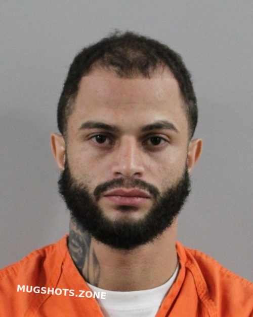 RIVERA ALICEA ALEXIS DAVID 10/08/2025 - Polk County Mugshots Zone