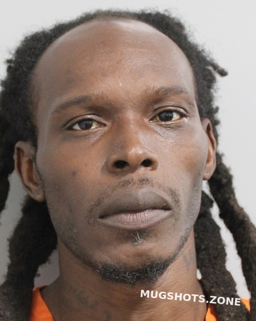 HAMILTON THEOTIS DWAYNE 11/06/2025 - Polk County Mugshots Zone