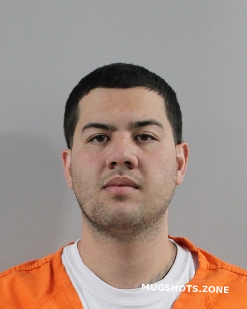 CRAIG TRAVIS LEE 11/12/2025 - Polk County Mugshots Zone
