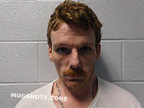 ADAM ROY ROLLINS 11/20/2024 - Polk County Mugshots Zone
