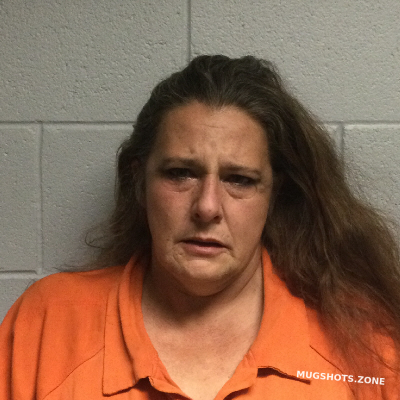 HEARN RUTH ANN 11/03/2022 - Polk County Mugshots Zone