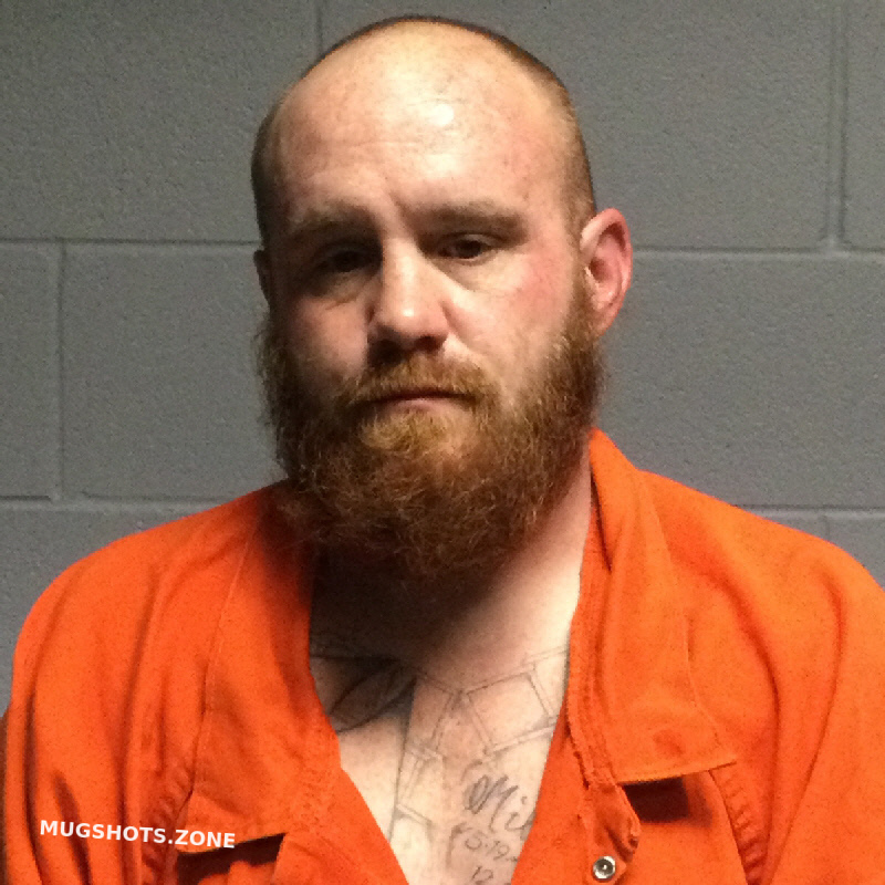 MCADAMS EVERITT WAYNE 03/31/2023 - Polk County Mugshots Zone