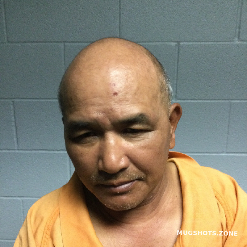 LING KIM 04/30/2023 - Polk County Mugshots Zone