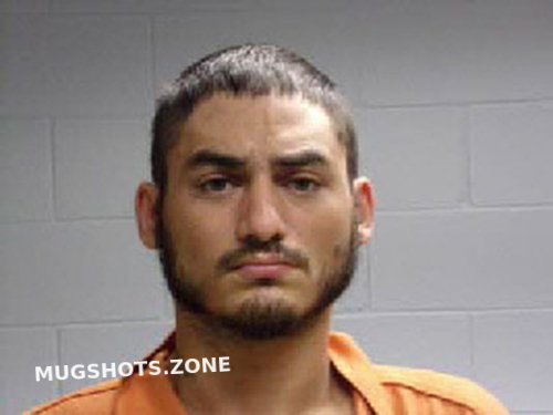 REEVES AARON CECIL 02/24/2024 - Polk County Mugshots Zone