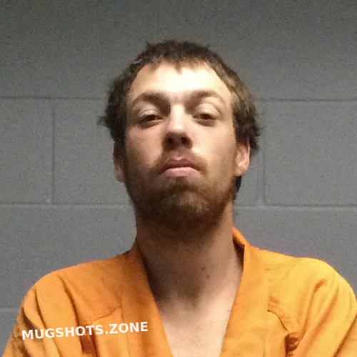 GUYNES JAMES MICHAEL 01/28/2025 - Polk County Mugshots Zone