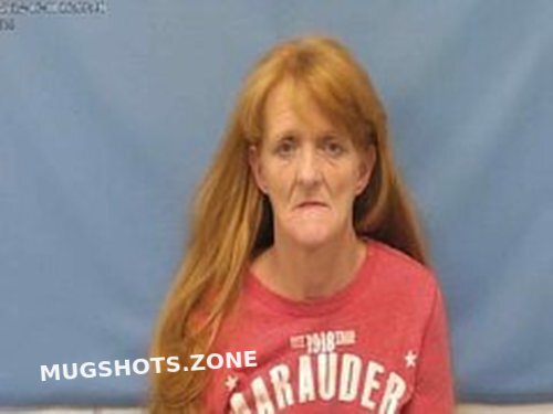SHARLEEN SUE RHOADS 11/01/2021 - Pope County Mugshots Zone