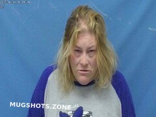 ANGELA ELIZABETH STEDMAN 11/01/2021 - Pope County Mugshots Zone