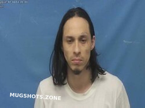 MICHAEL ANTHONY ROMERO 06/30/2022 - Pope County Mugshots Zone