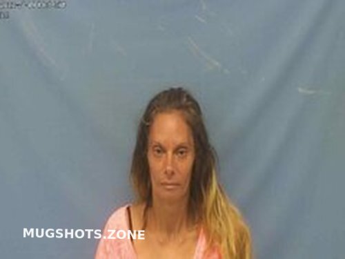 CYNTHIA LEANN NANCE 07/19/2022 - Pope County Mugshots Zone