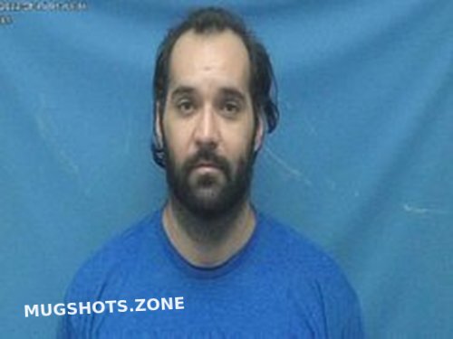 ANDREW MCADAMS FULLERTON 08/24/2022 - Pope County Mugshots Zone