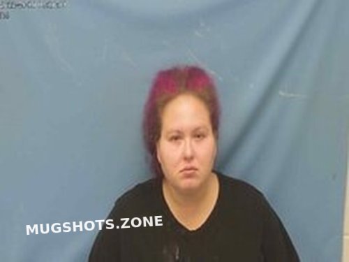 JAMIE LYNN RIGGS 09/28/2022 - Pope County Mugshots Zone
