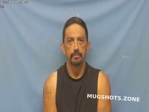 DAVID TROY MAZON 10/17/2022 - Pope County Mugshots Zone