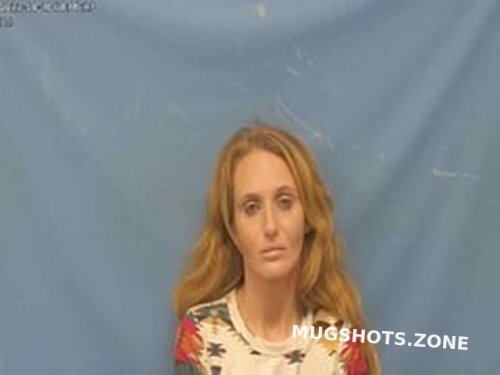 JOLENE ELIZABETH ADKINS 11/10/2022 - Pope County Mugshots Zone