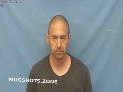 MARK ANTHONY RODRIGUEZ 11/10/2022 - Pope County Mugshots Zone