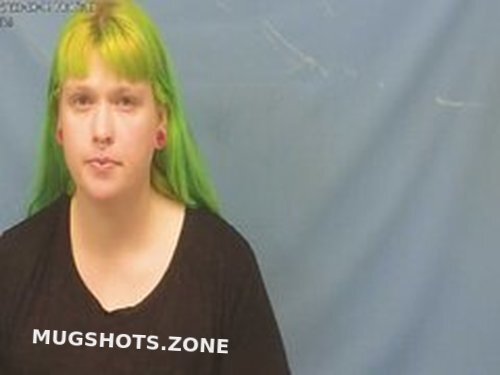 Tara Brooke Collins 12 03 2022 Pope County Mugshots Zone