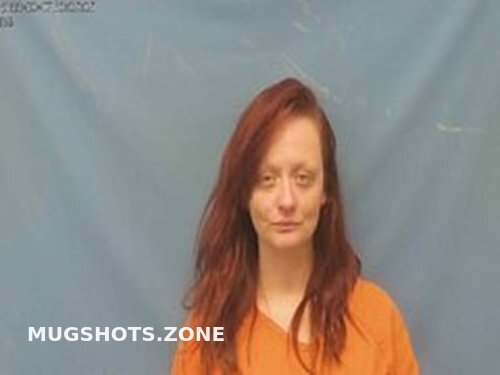 NATALIE NICOLE WILSON 12/07/2022 - Pope County Mugshots Zone