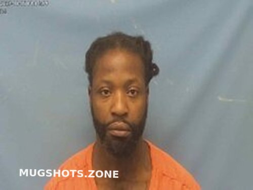 TARRENCE RAYBON 01/05/2023 - Pope County Mugshots Zone