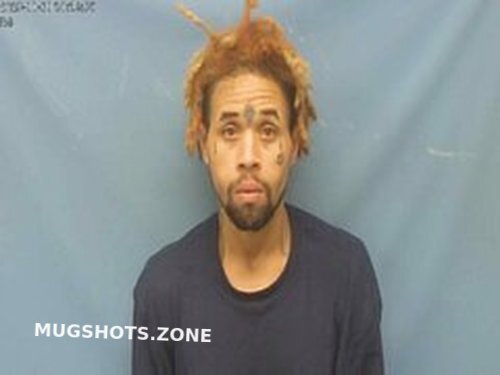 WARREN GAMABIEL JOHNSON 01/10/2023 - Pope County Mugshots Zone