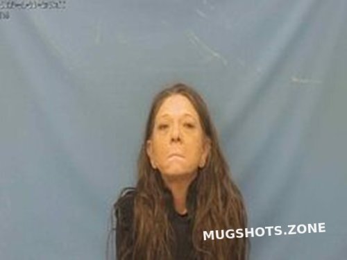 SARA ANN WAHL 01/23/2023 - Pope County Mugshots Zone