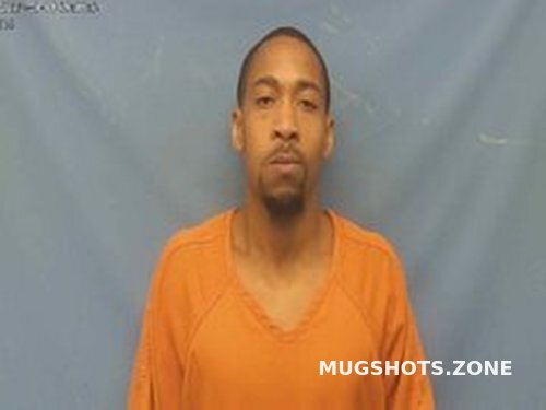 CARY DAWN MILLER 02/17/2023 - Pope County Mugshots Zone