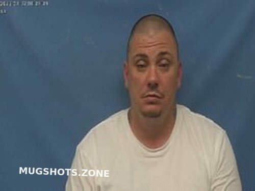 DUSTIN DWAYNE DAVIS 03/12/2023 - Pope County Mugshots Zone