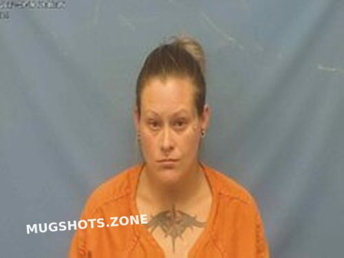 HEATHER DEANNE WILSON 03/16/2023 - Pope County Mugshots Zone