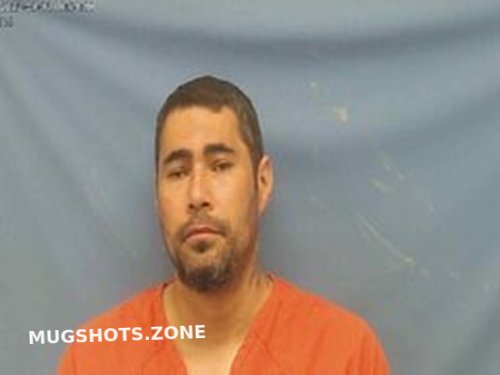 DANIEL JOSEPH HOURIHAN 03/30/2023 - Pope County Mugshots Zone