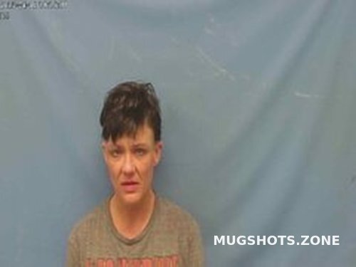 CRYSTAL LOUISE RITCHIE 04/01/2023 - Pope County Mugshots Zone