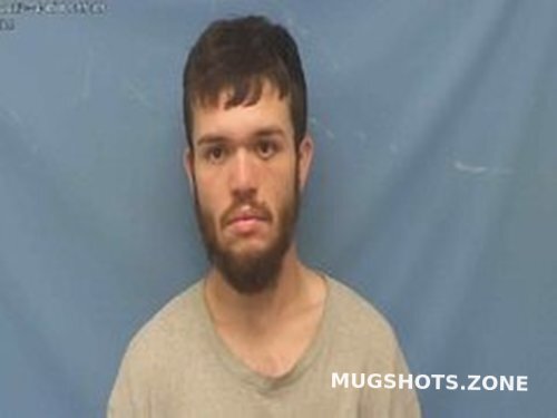 BLAKE GORDON SOWERS 04/15/2023 - Pope County Mugshots Zone