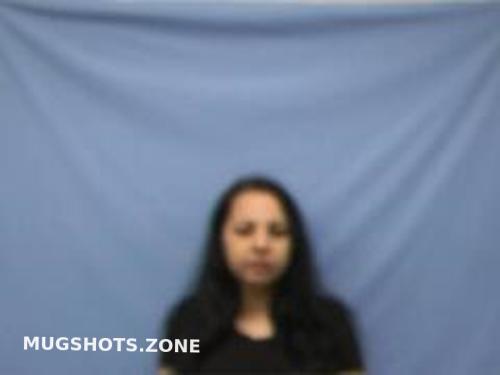 DANIELLE ALEXANDRA RUIZ 11/22/2023 - Pope County Mugshots Zone