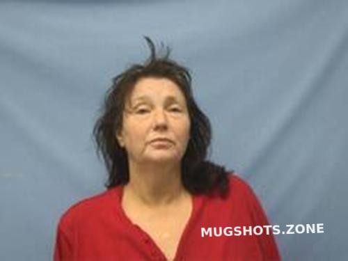 DEBRA CARTER 01/03/2024 - Pope County Mugshots Zone
