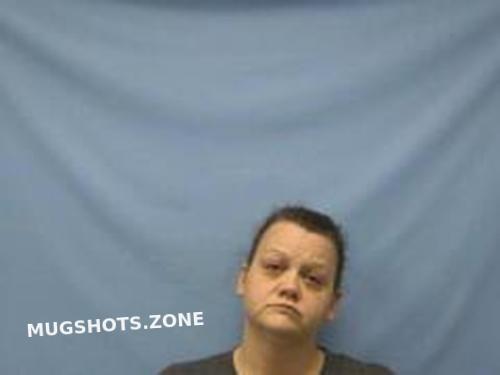 CHASITY NICOLE SHELL 02/07/2024 - Pope County Mugshots Zone