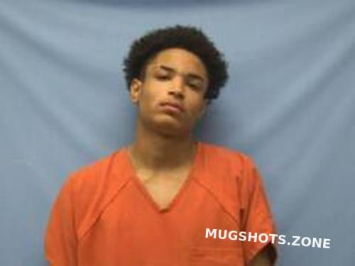 ROSS DIAMOND 02/24/2024 - Pope County Mugshots Zone