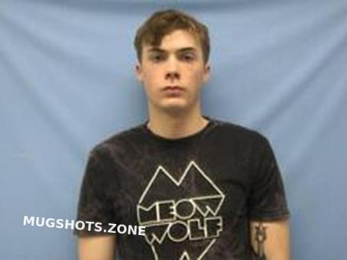 DEVIN SCOTT SANDLIN 03/21/2024 - Pope County Mugshots Zone