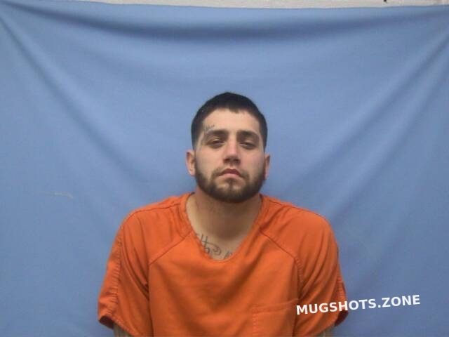 VEGA VICTOR MANUEL JR 01/31/2025 - Pope County Mugshots Zone