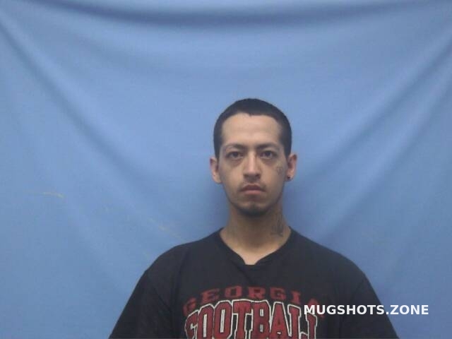 LIGHT JASON ALEXANDER 02/26/2025 - Pope County Mugshots Zone
