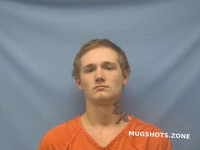 PITTS TRAVIS WADE 03/05/2025 - Pope County Mugshots Zone