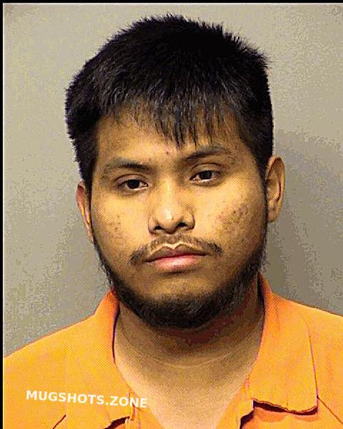 MONTUFAR-MARTINEZ RONI JOSUE 03/02/2021 - Porter County Mugshots Zone